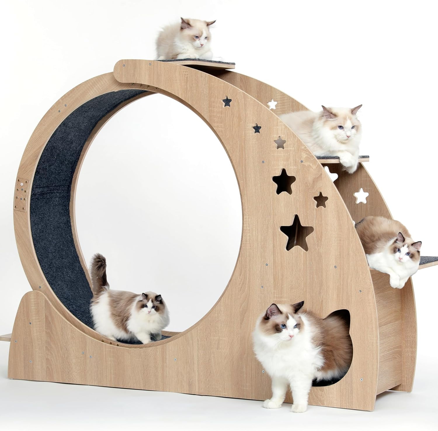 Cat Wheel,4-in-1 Cat Exercise Wheel,Upgraded Large Cat Wheels for ...