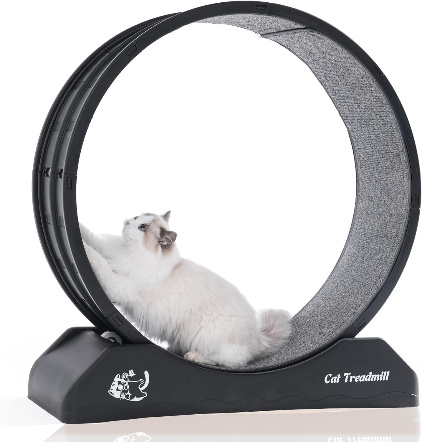 Cat Wheel - Easy to Install Cat Wheels for Indoor Cats, Promotes ...