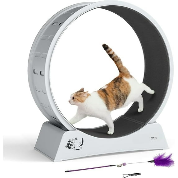 Cat Wheel for Indoor Cats, 34“ Running Treadmill with Nonslip Carpet ...