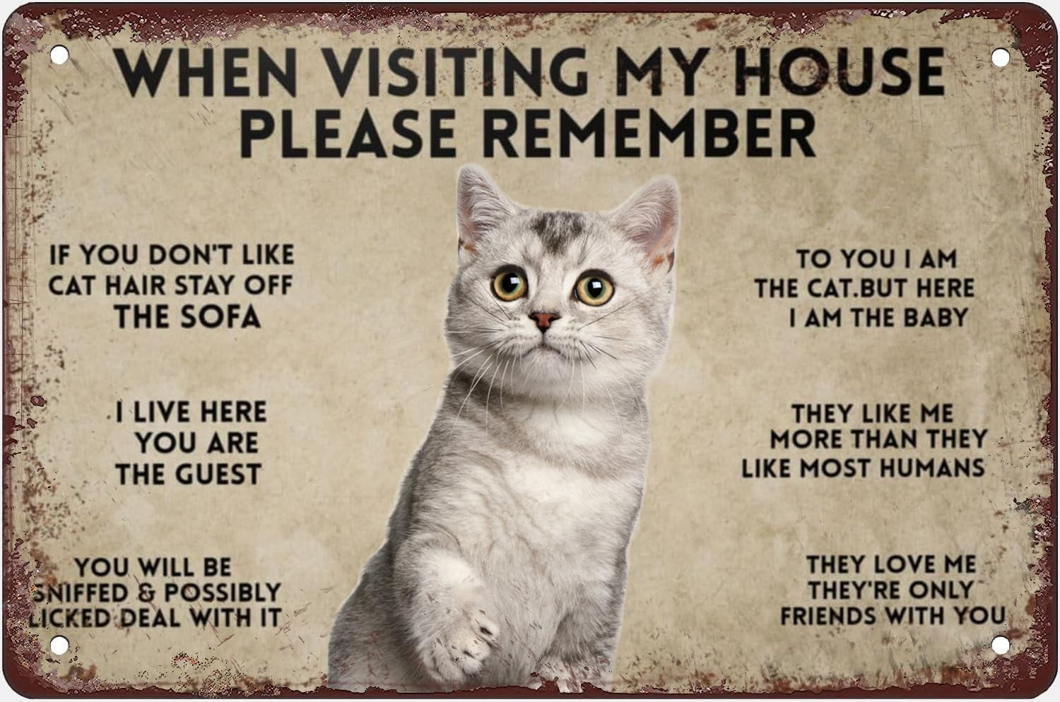 Cat When Visiting My House Please Remember Cat Retro Vintage Metal Tin ...