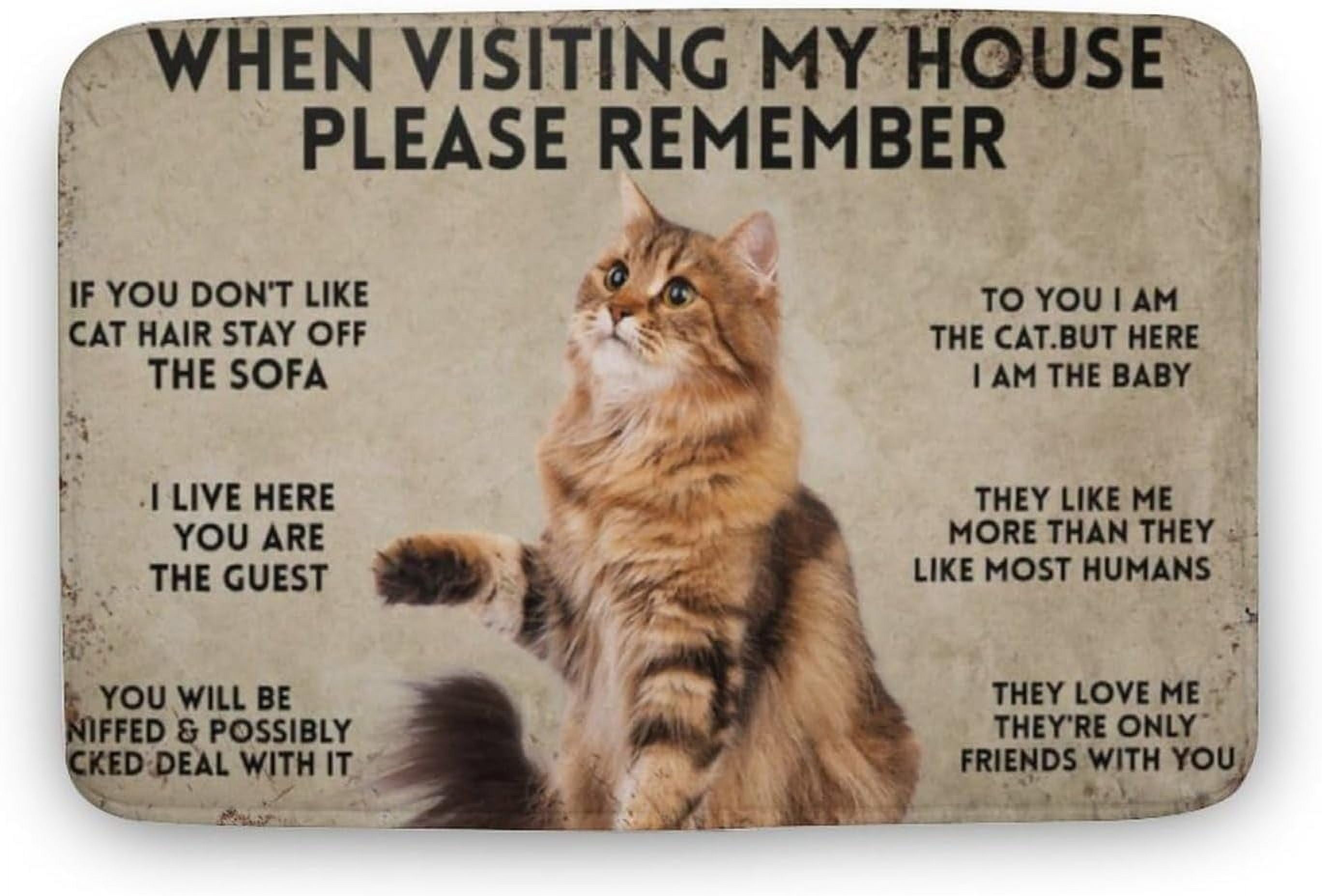 Cat When Visiting My House Please Remember Cat Door Mat Funny Welcome ...