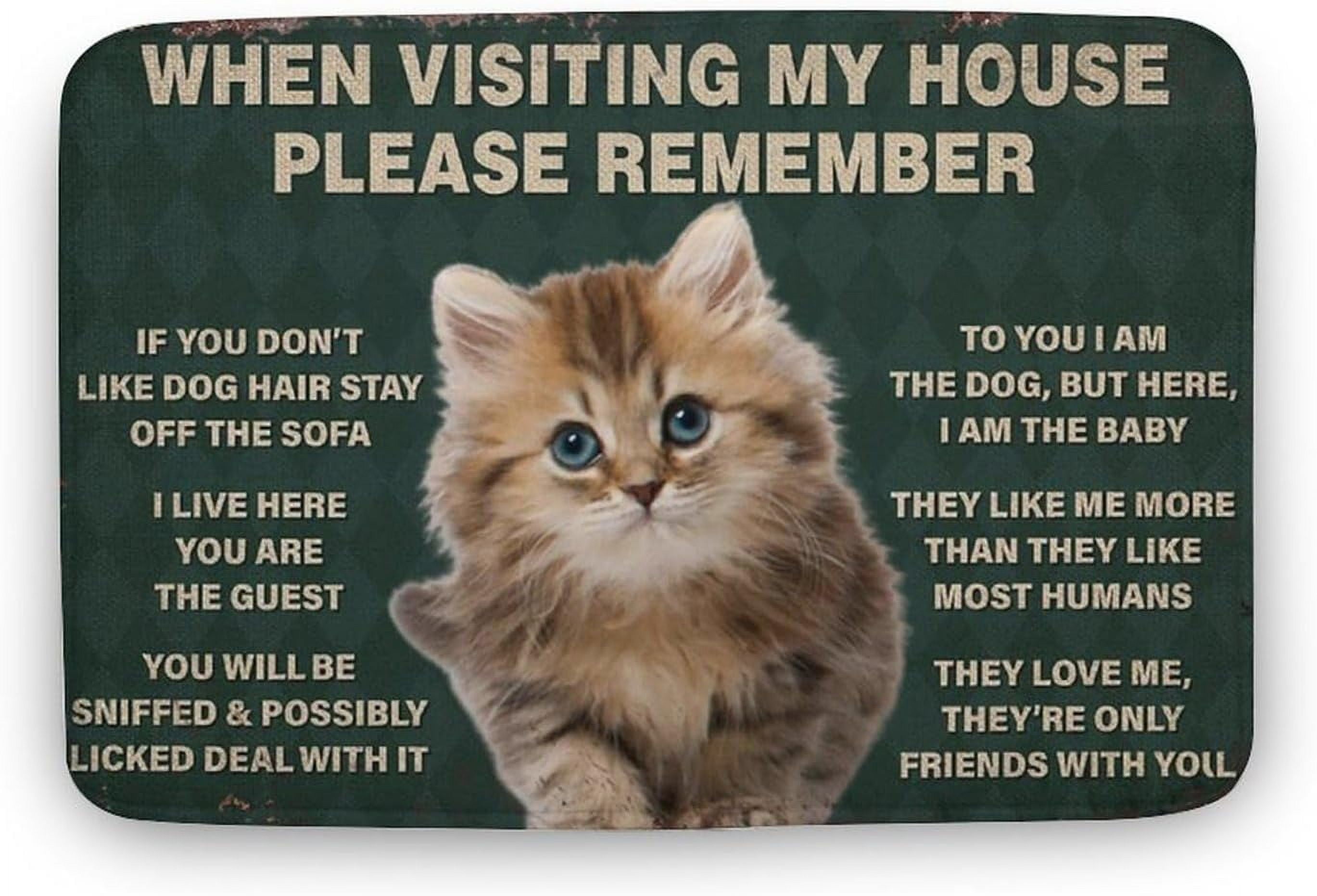 Cat When Visiting My House Please Remember Cat Door Mat Indoor Welcome ...