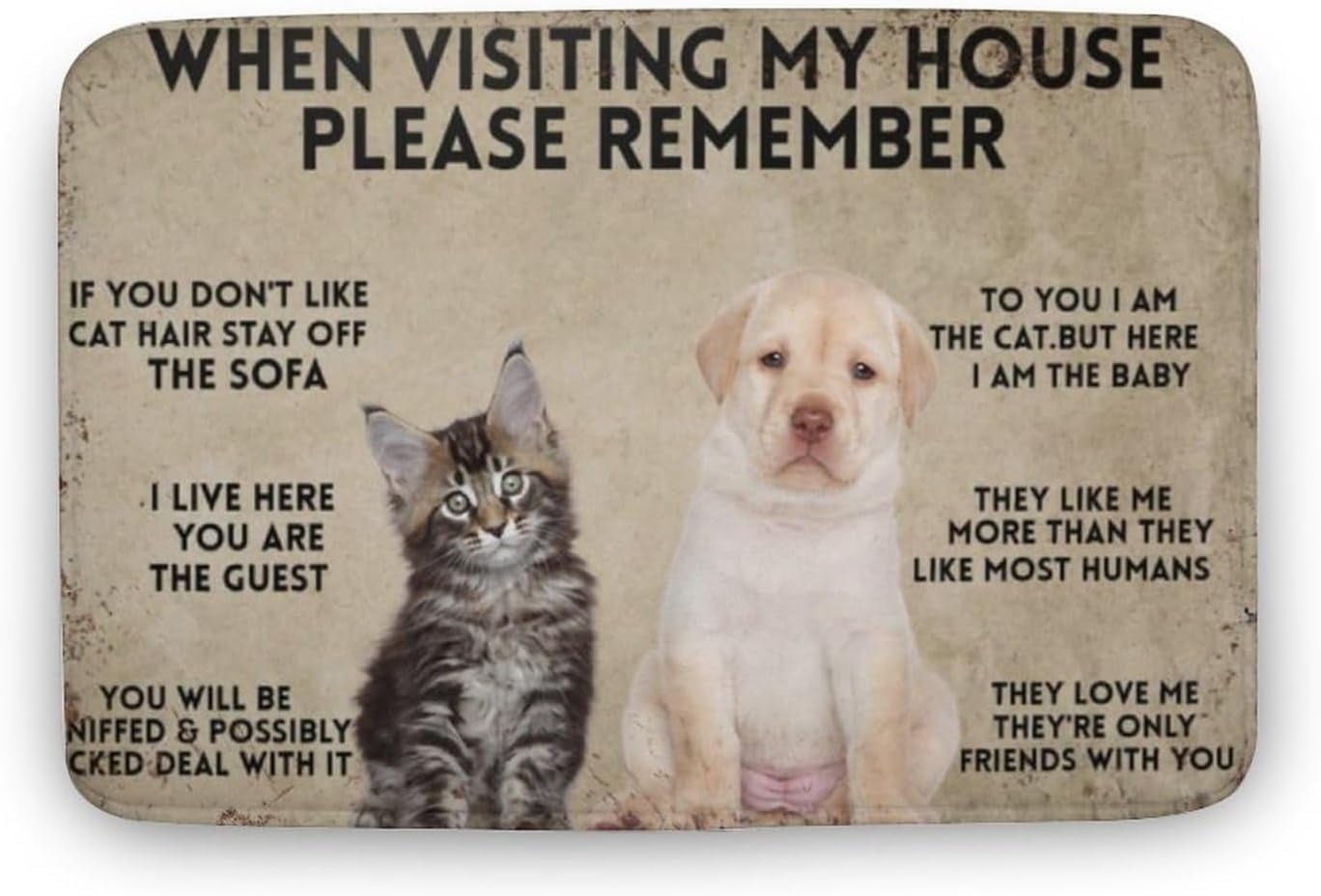 Cat When Visiting My House Please Remember Doormats Entrance Front Door ...