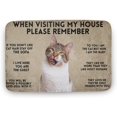 Cat When Visiting My House Please Remember Cat Indoor Door Mat Front ...