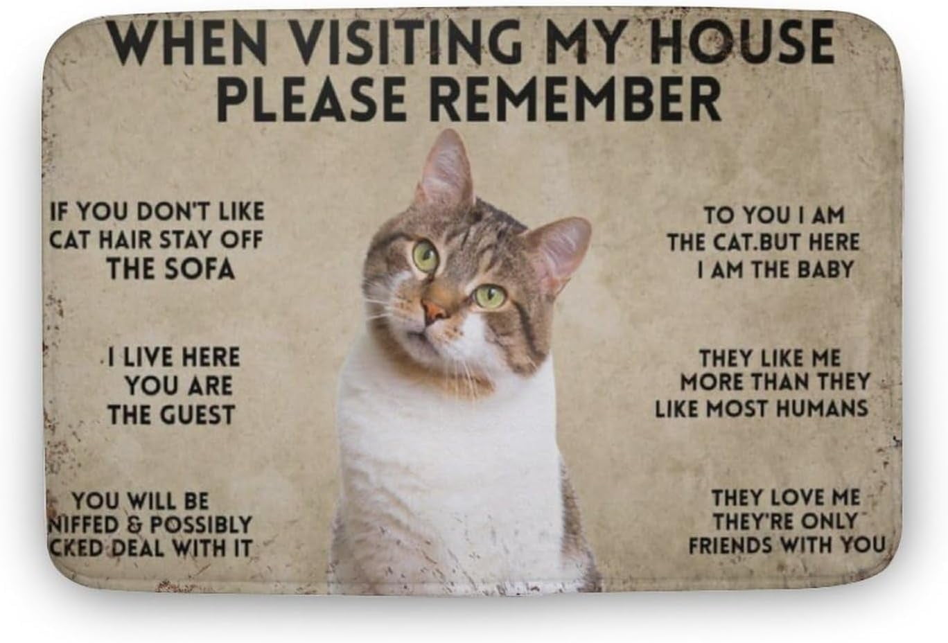 Cat When Visiting My House Please Remember Cat Indoor Doormat Front ...