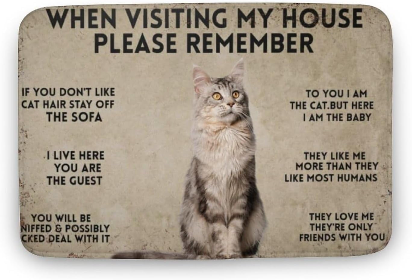 Cat When Visiting My House Please Remember Cat Welcome Mats for Front ...