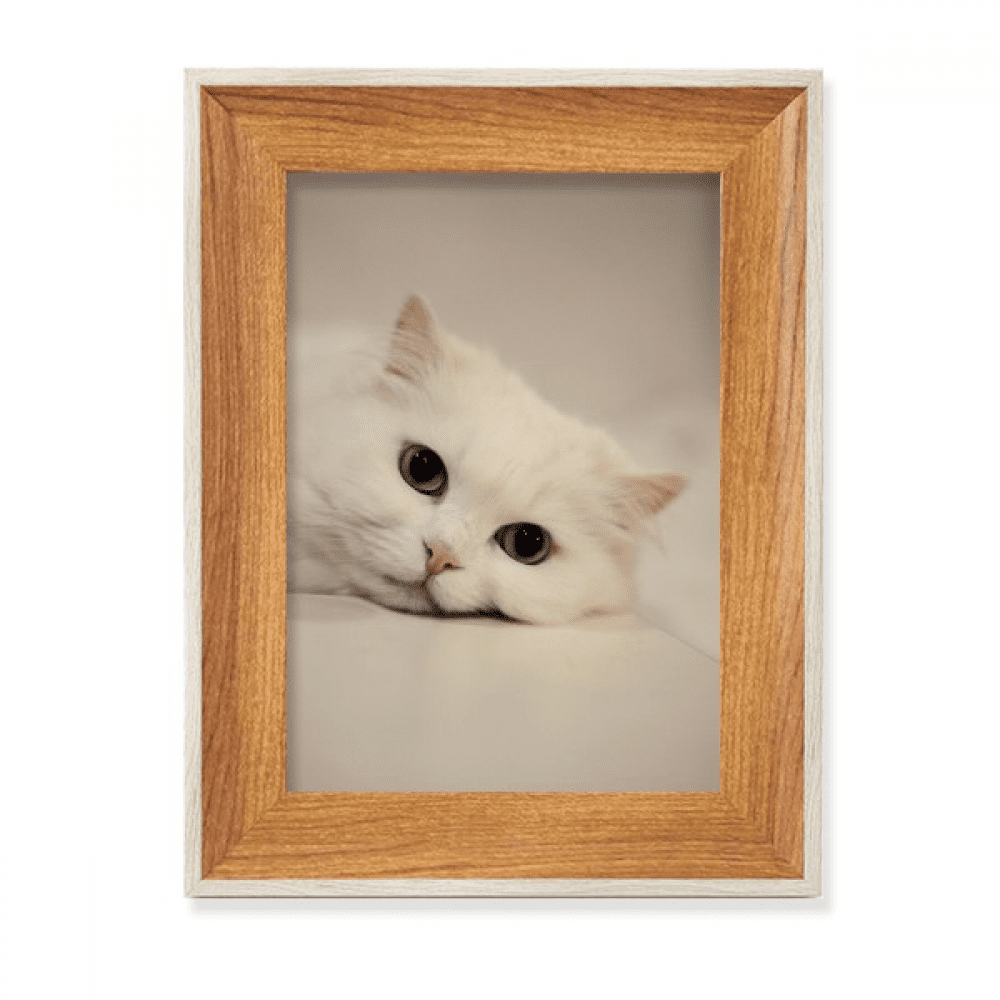 Cat White Kitty Pet Animal Relax Desktop Wooden Photo Frame Display ...