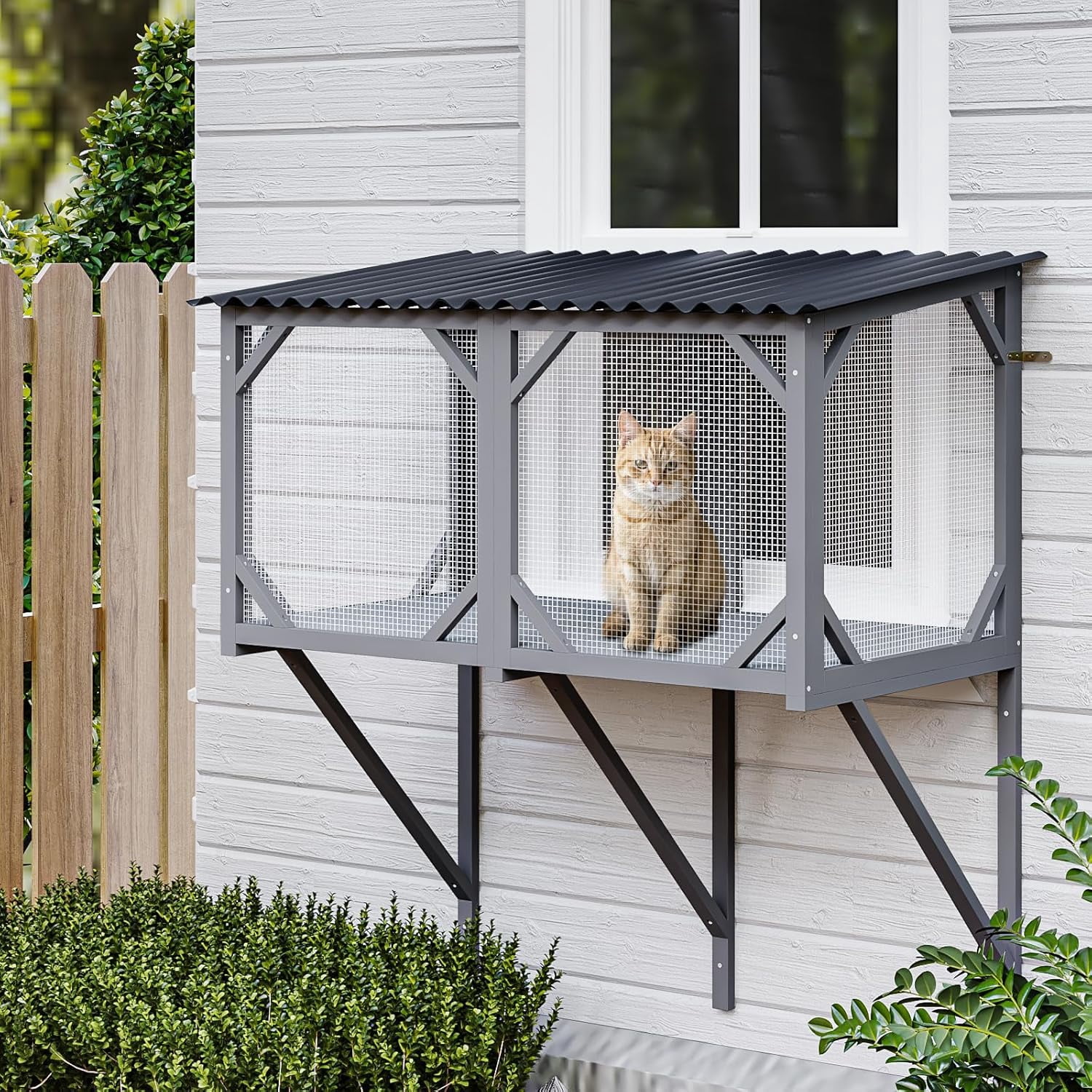 Cat Window Box, 47.2