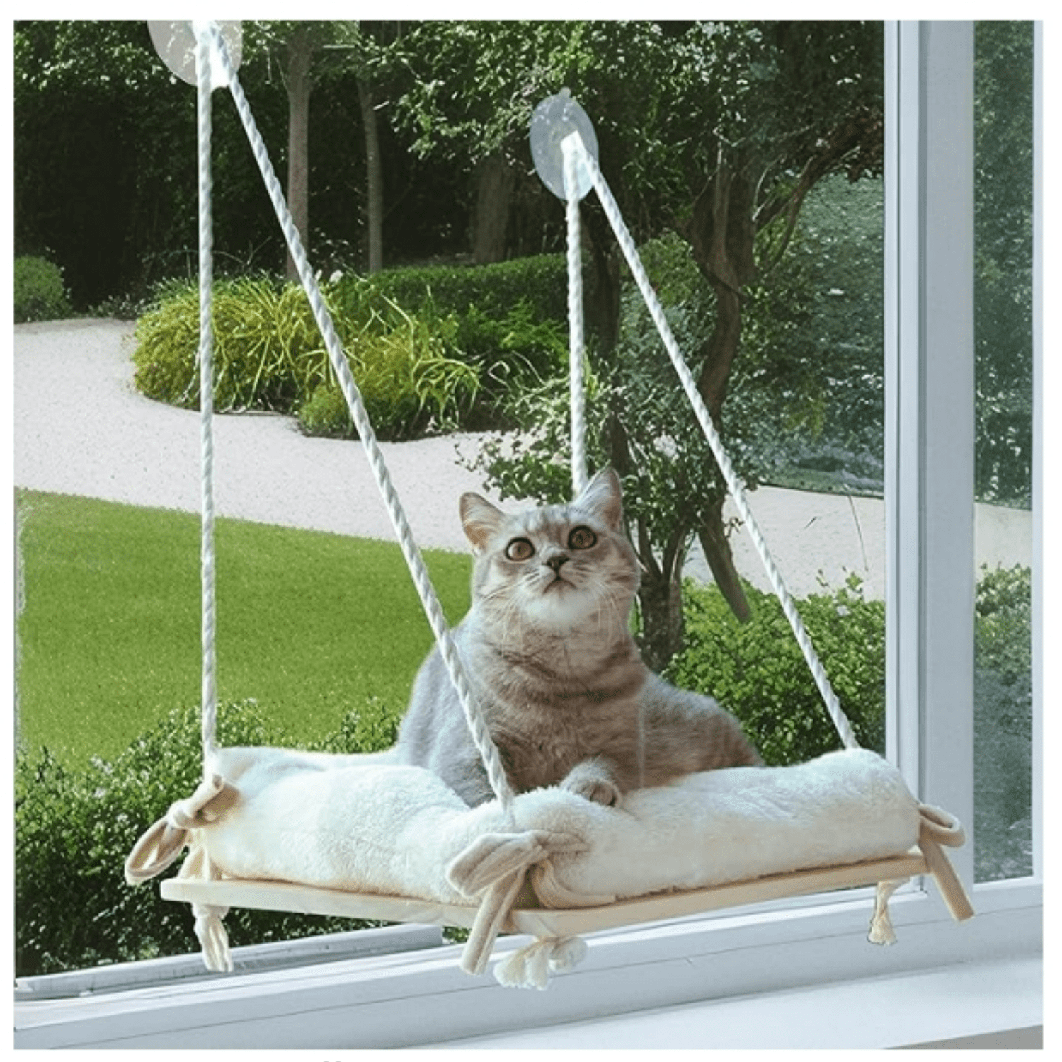 , Cat Window with Cushion Bed, Solid Wood Seat & Strong Suction Cups ...