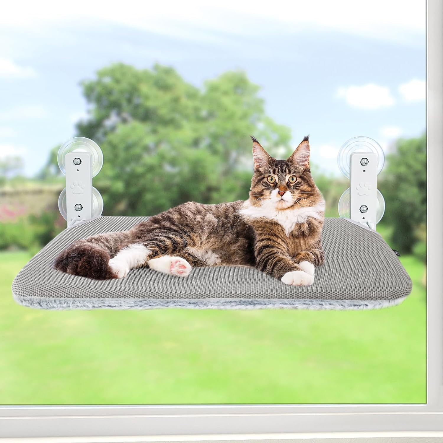 Cat Window Hammock Perch Cordless Perches Window Sill Seat Bed Foldable ...