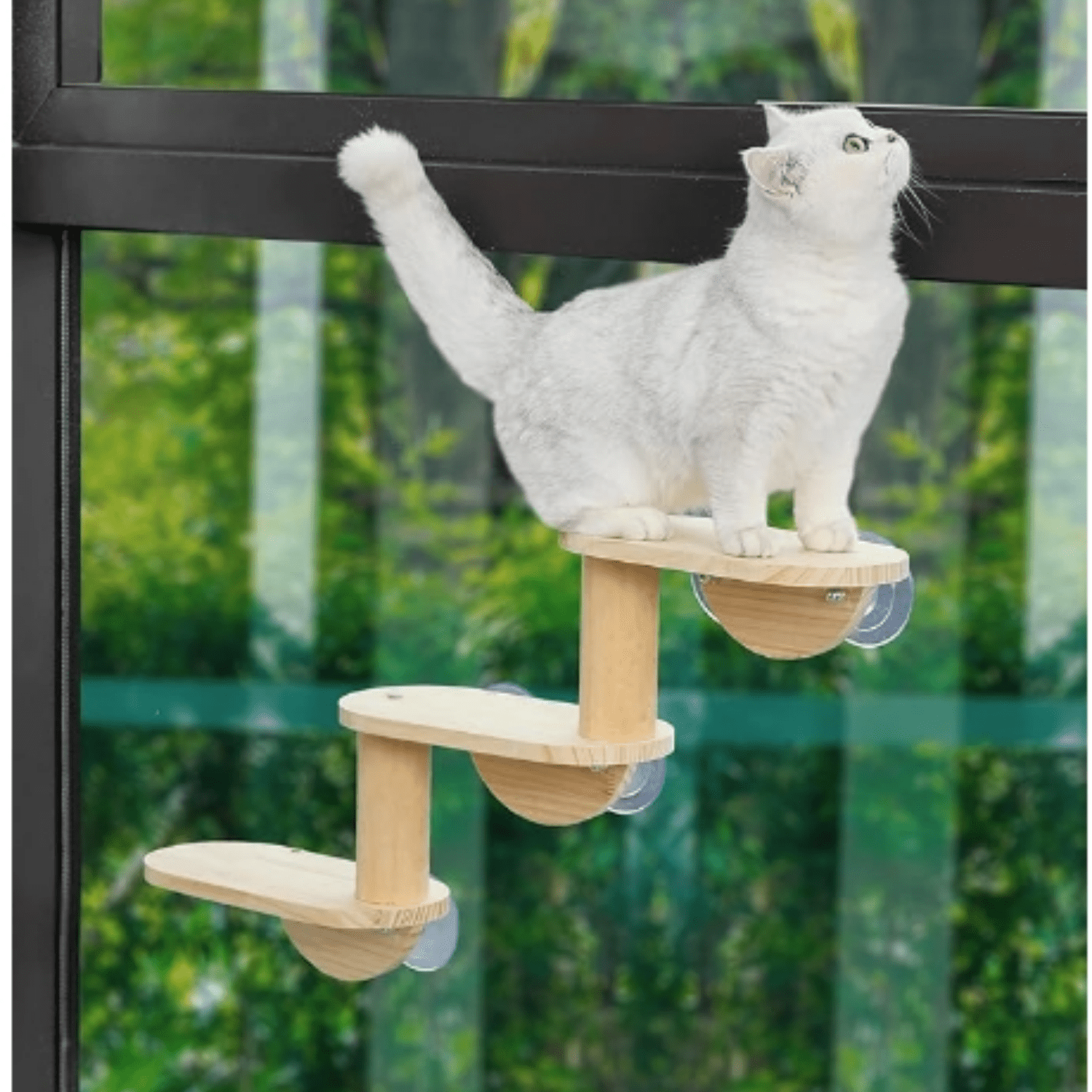 Cat Window Ladder 3-Levels for Indoor Cats Climbing Wood Window Shelf ...