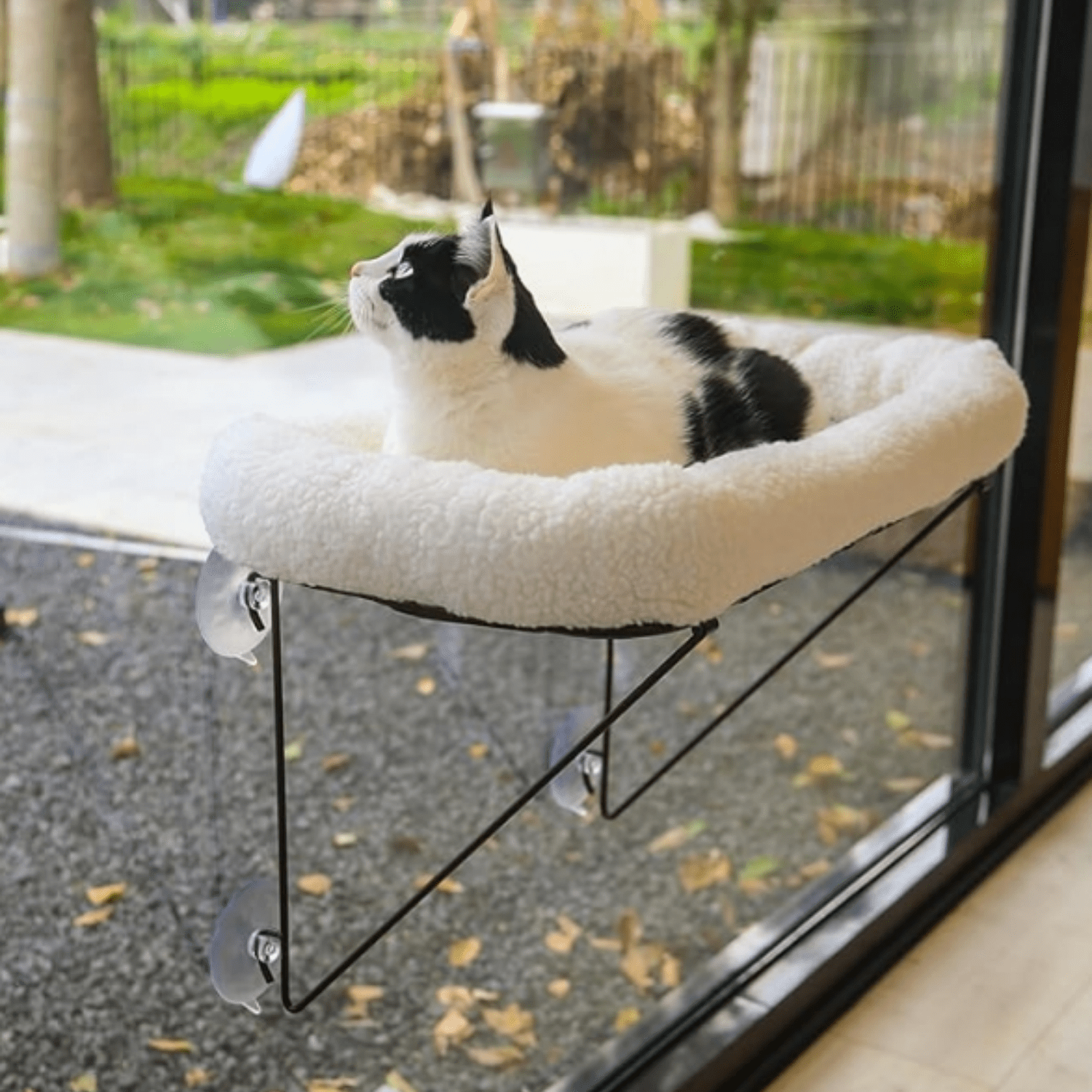 Cat Window Perch - 100% Metal Supported from Below - Comes with Warm ...