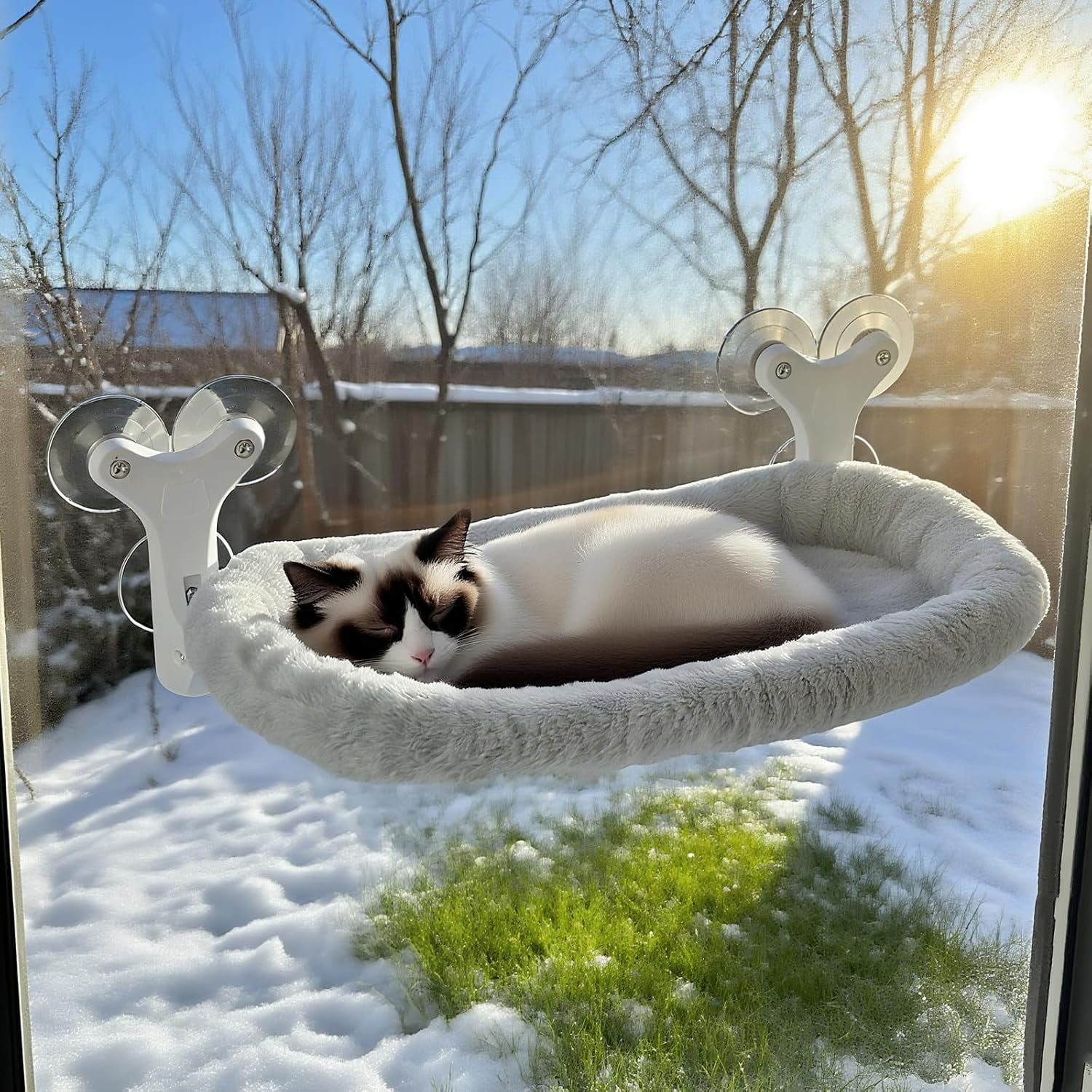 Cat Window Perch with 6 Strong Suction Cups,Mats That can be Switched ...