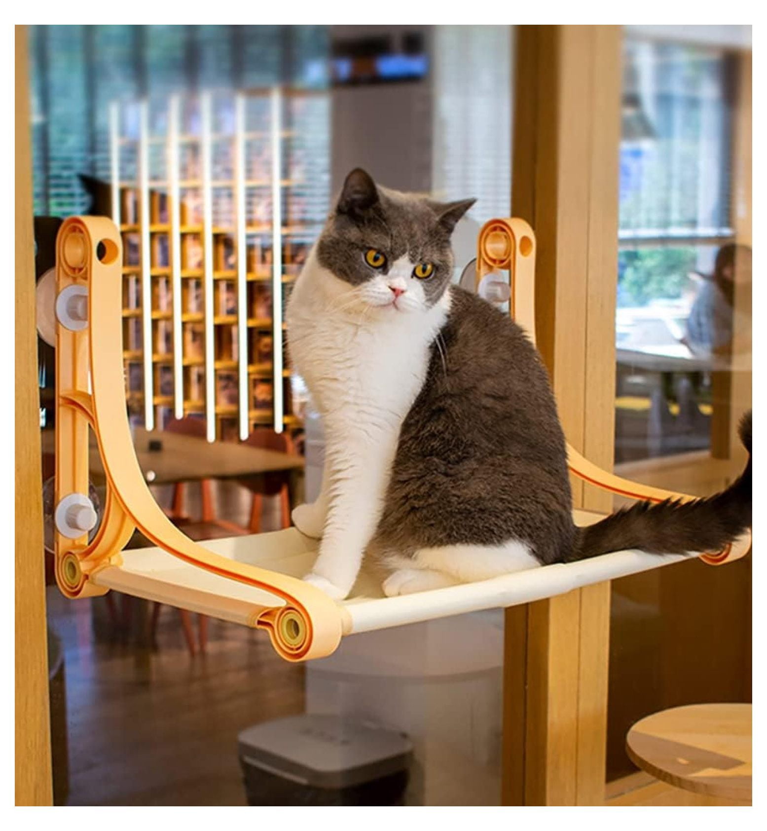 Cat Window Perch, Cat Hammock Window with Two Modes of Use and Easy to ...