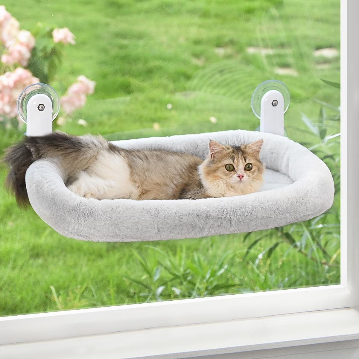 Cat Window Perch, Cordless Cat Hammock Window Seat with Cozy Pad Bed ...