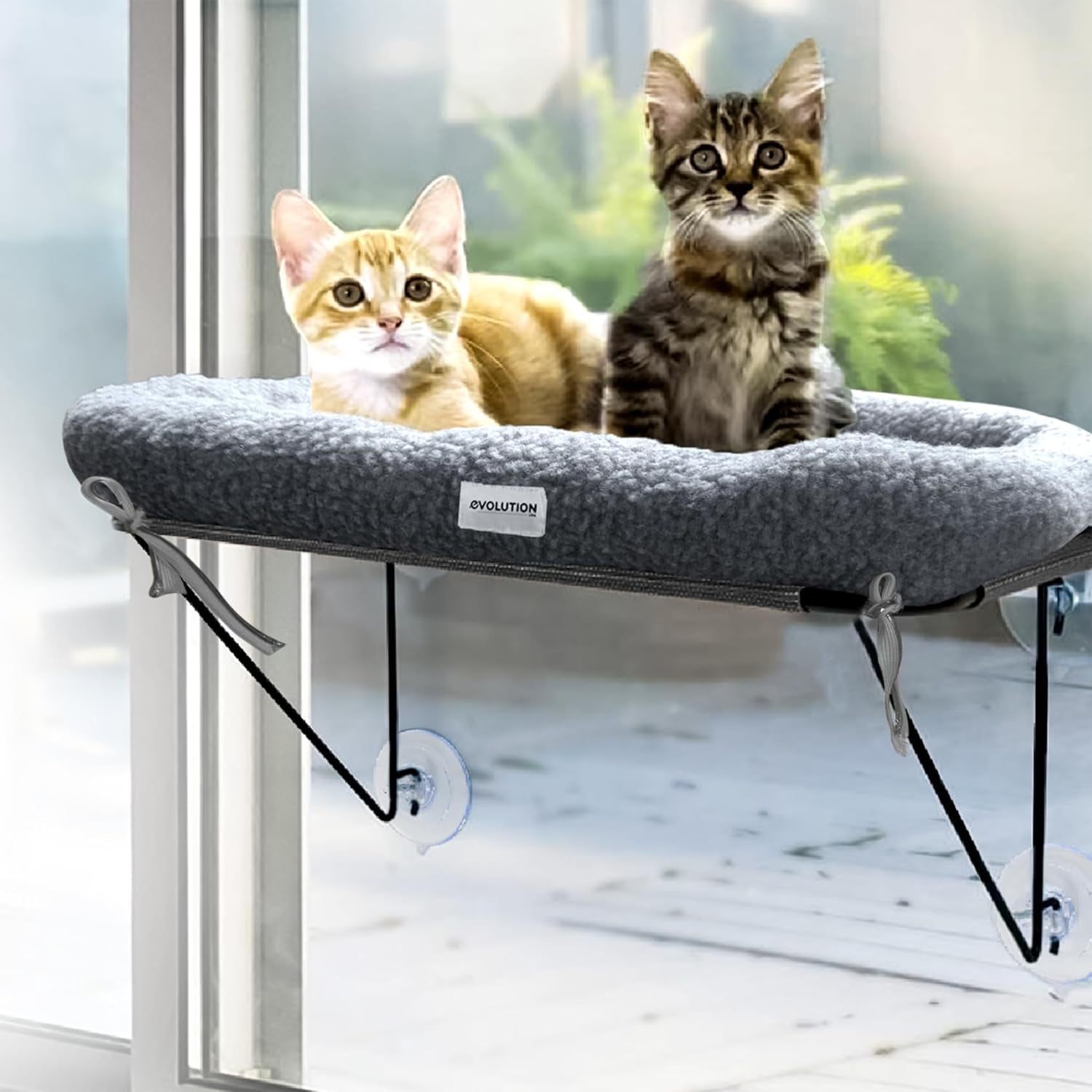 Cat Window Perch, Durable Feline Bed, Comfy Perch for 360 Views ...