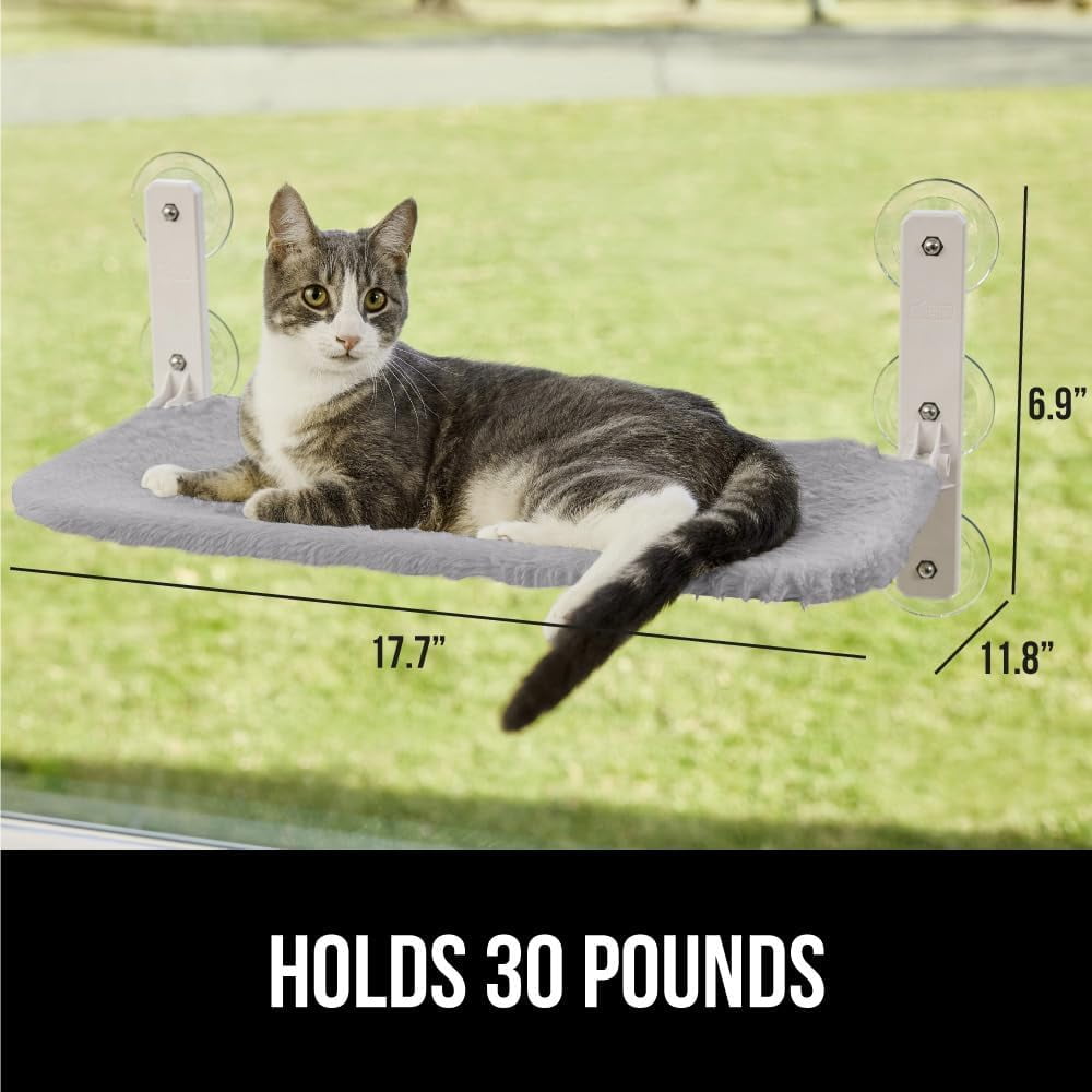 Cat Window Perch, Foldable Cat Window Hammock Bed with 6 Large Suction ...