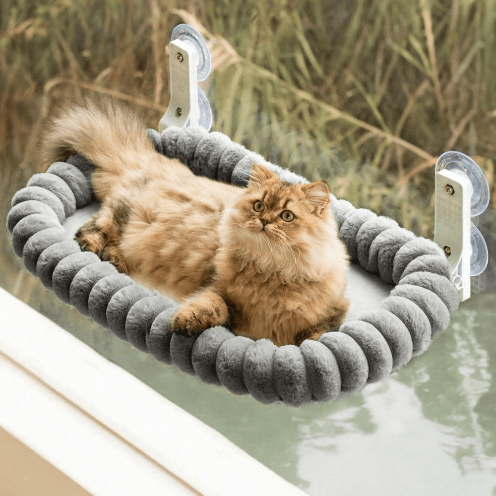 Cat Window Perch For Large Cats, Folding Cat Window Hammock For Indoor ...