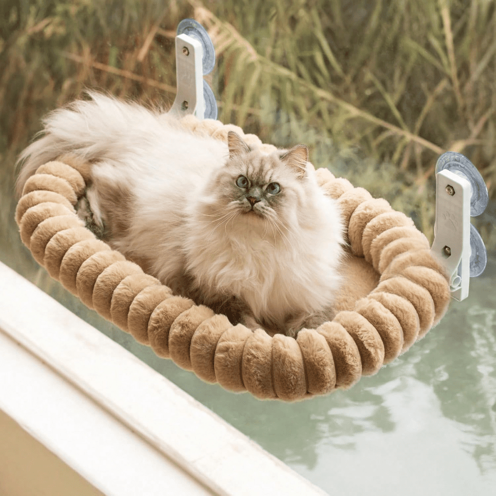 Cat Window Perch For Large Cats, Folding Cat Window Hammock For Indoor ...