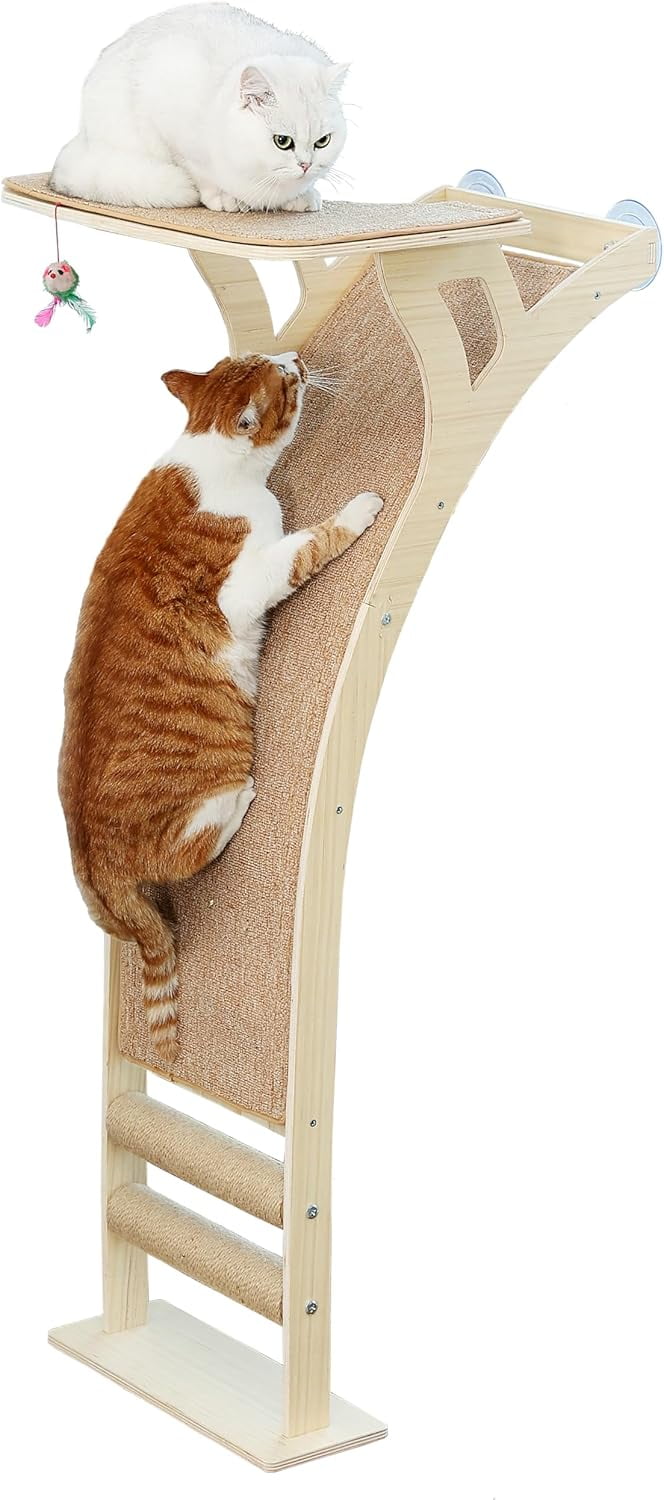 Cat Window Perch with Scratcher Ramp, 48" Climbing Tree Suctions Cups ...
