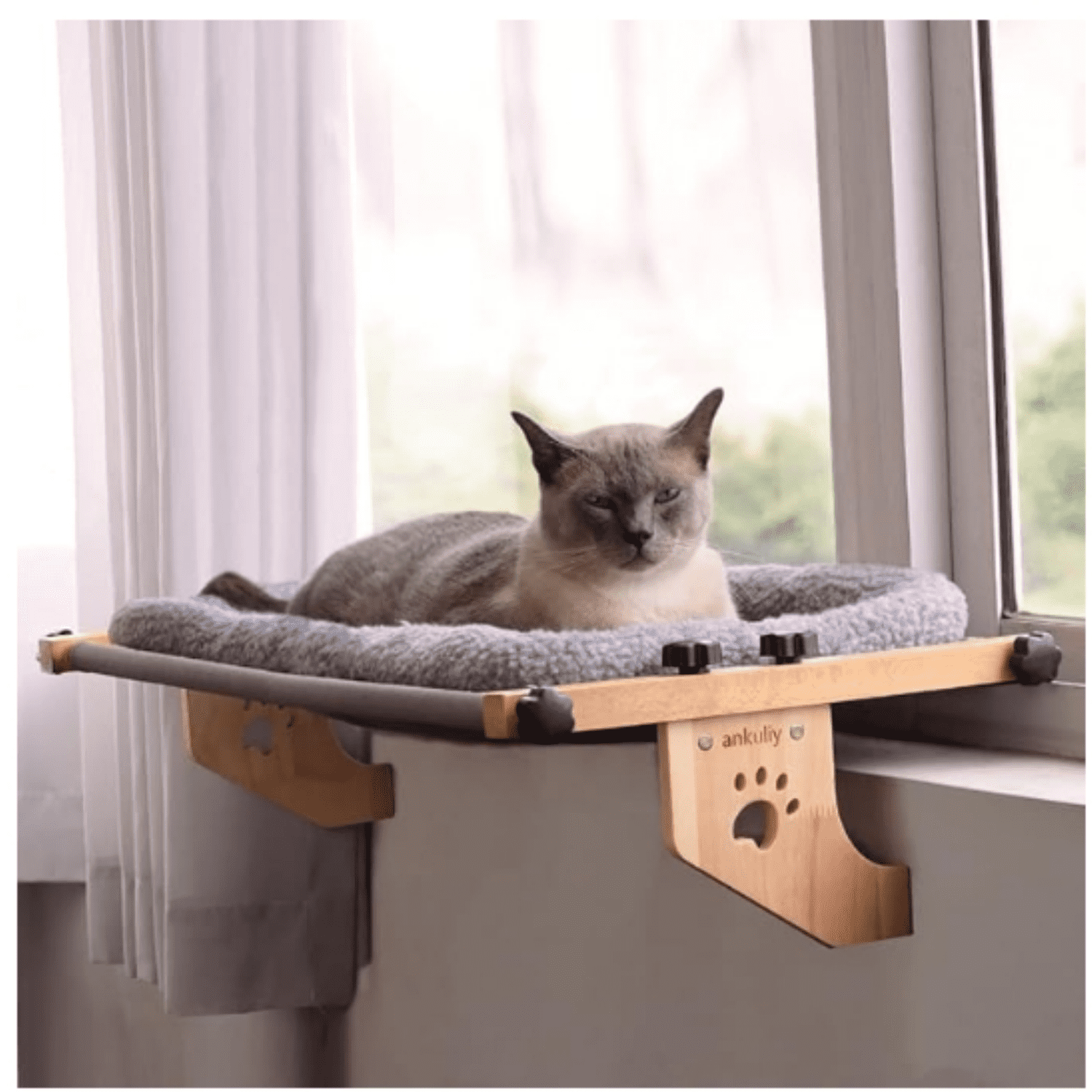 Cat Window Perch for 2 Cats,Cat Window Seat for Large Cats,Cat Window ...