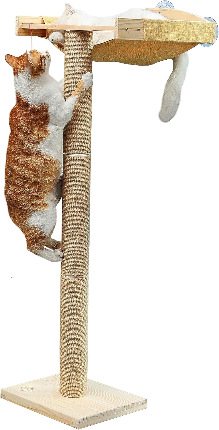 Cat Window Perch with Tall Scratching Posts, Inside 46" Climbing Tree ...