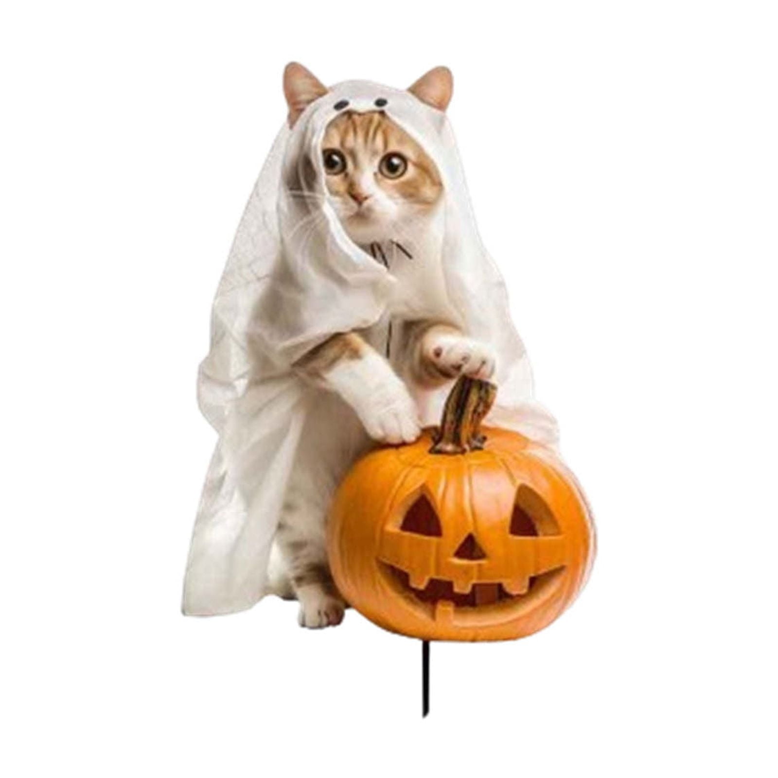 Cat Witch Hat, Funny Cat Halloween Costumes, Doggy Wizard Hat Outfit ...