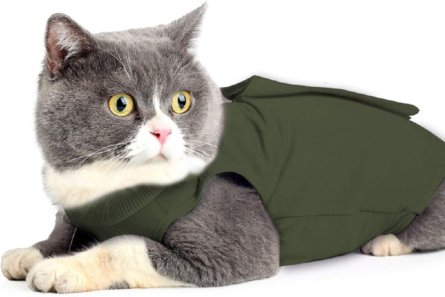 Cat Wound Surgery Recovery Suit for Abdominal Wounds or Skin Diseases ...
