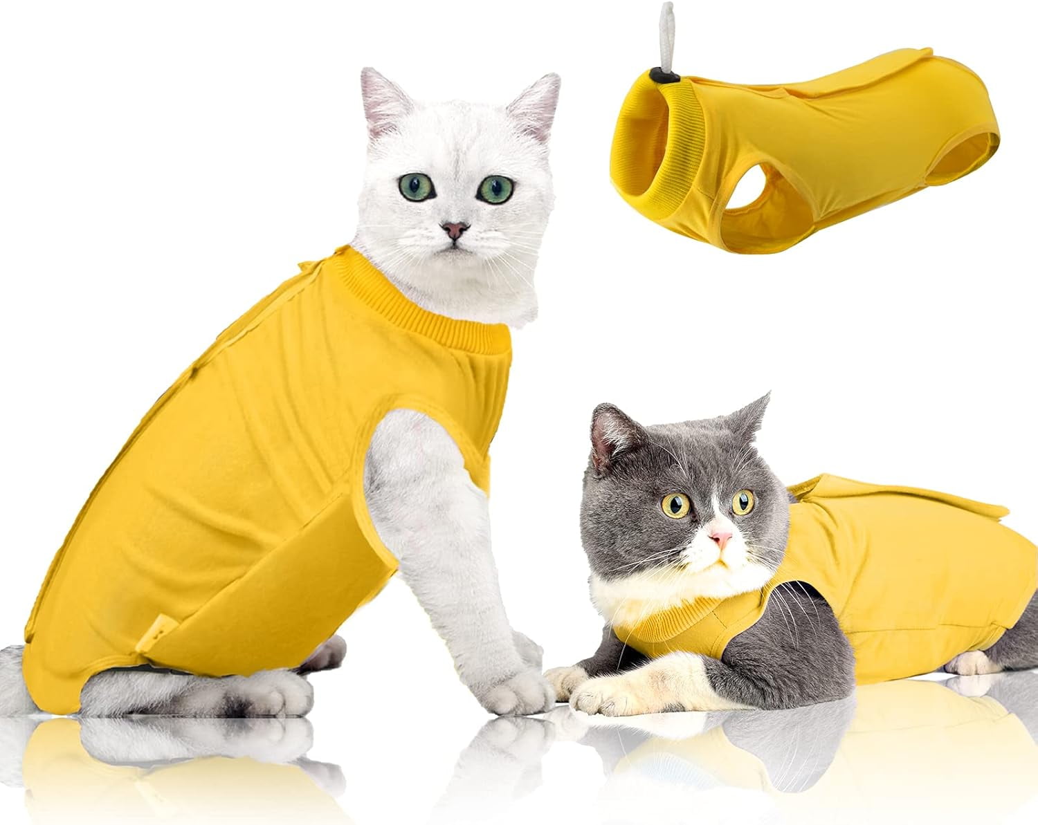 Cat Wound Surgery Recovery Suit for Abdominal Wounds or Skin Diseases ...