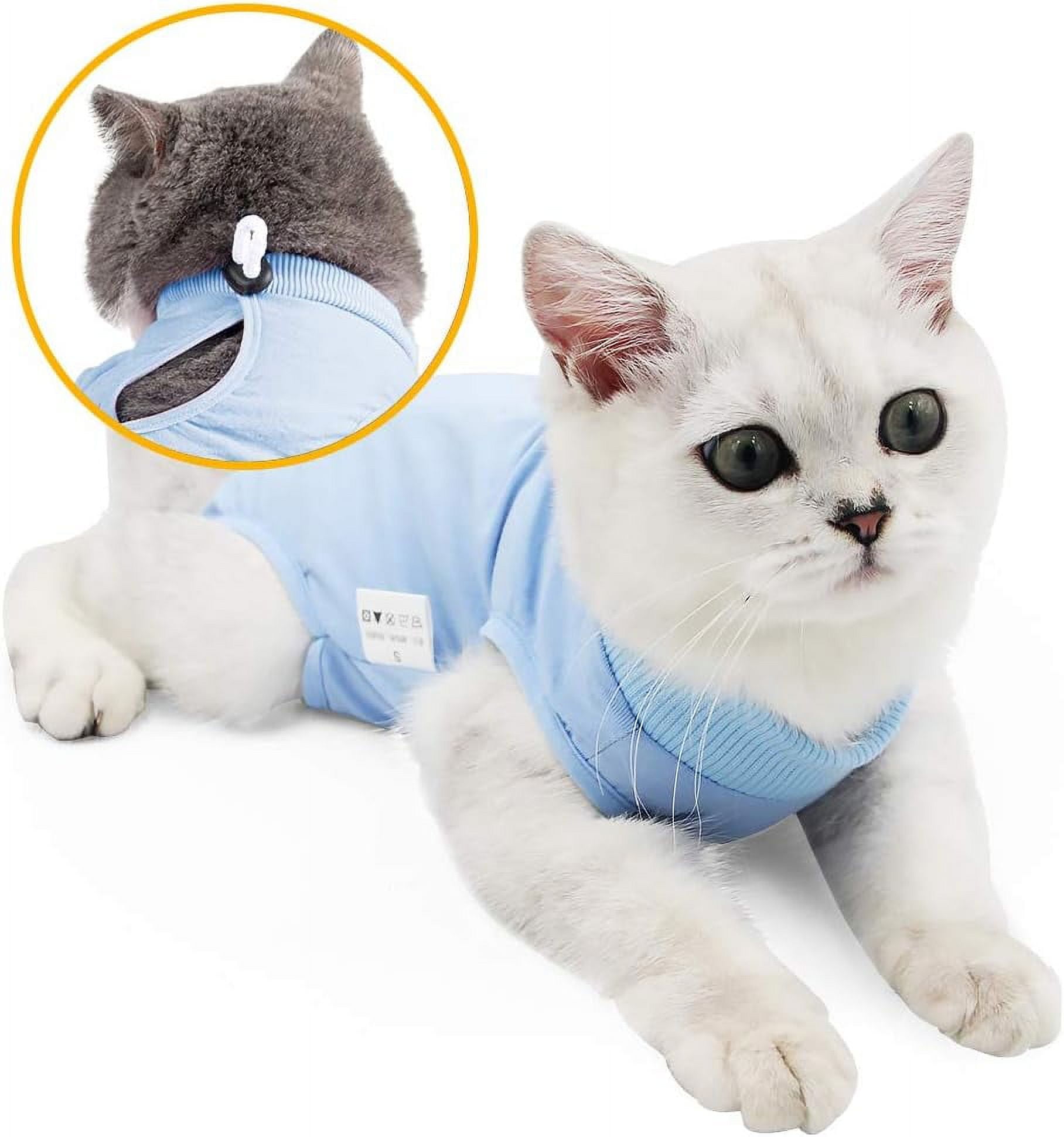Cat Wound Surgery Recovery Suit for Abdominal Wounds or Skin Diseases ...