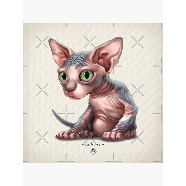 Cat-a-clysm: Sphynx kitten - Classic Poster Framed-unframed - Walmart.com