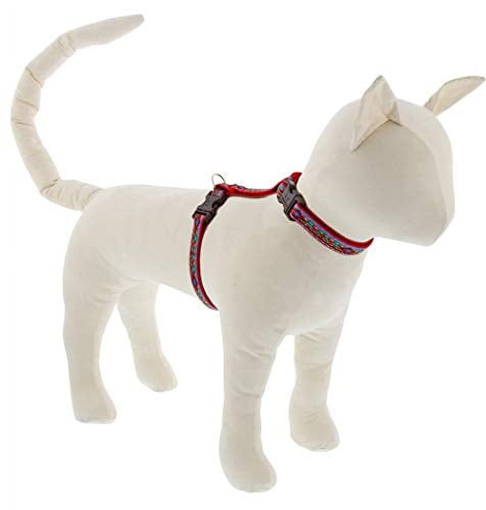 Cat and Small Pet H-Style Harness by Lupine 1/2" Wide El Paso Design ...