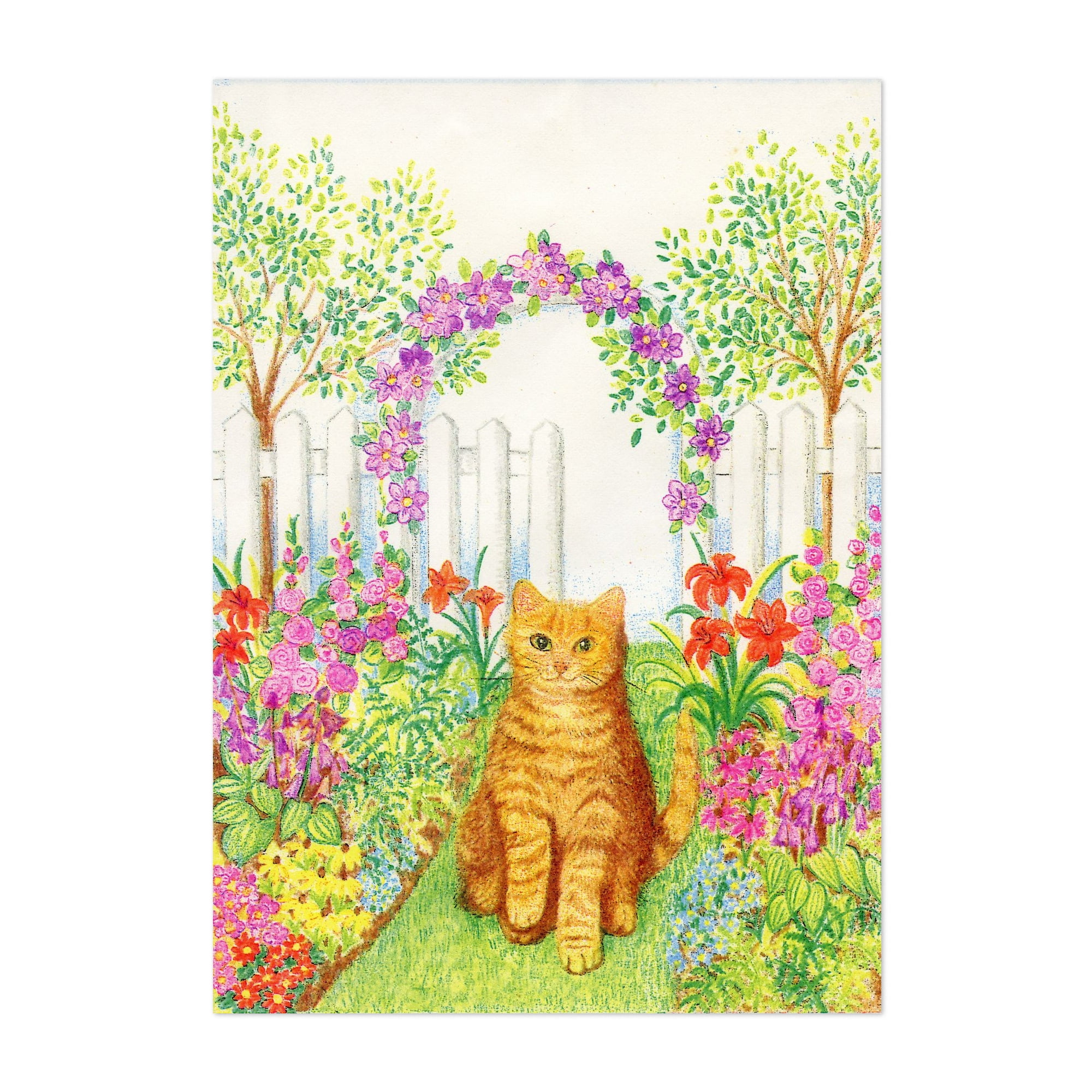 Cat and White Pickett Fence in Garden - Drawing Cat Floral Animal ...