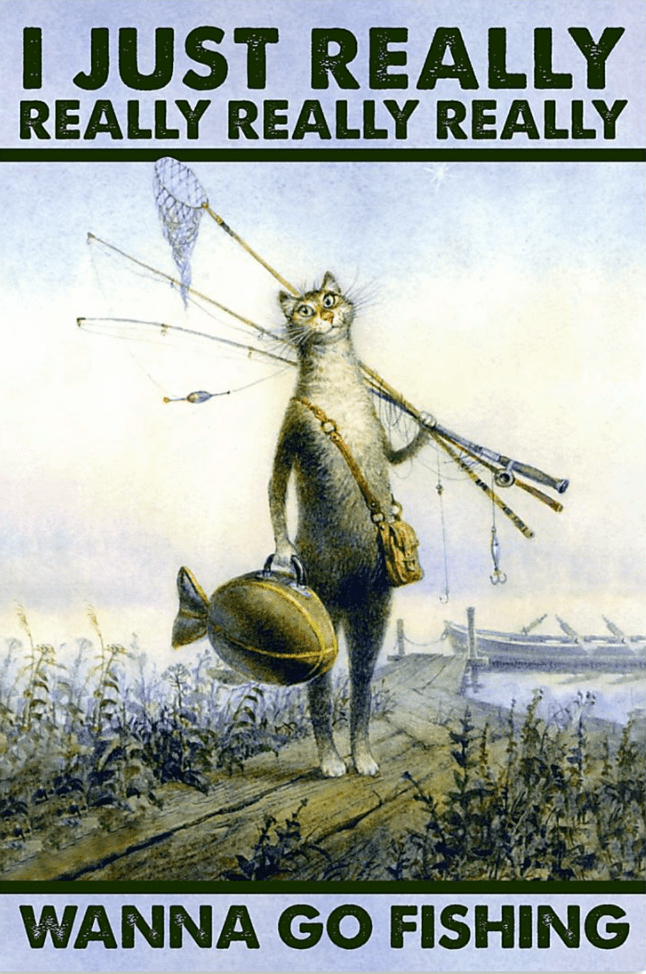 Cat i just really really really really wanna go fishing poster 24 x 36 ...