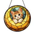 Cat in Banana Costume Stained Glass Suncatcher – Playful Window Decor ...
