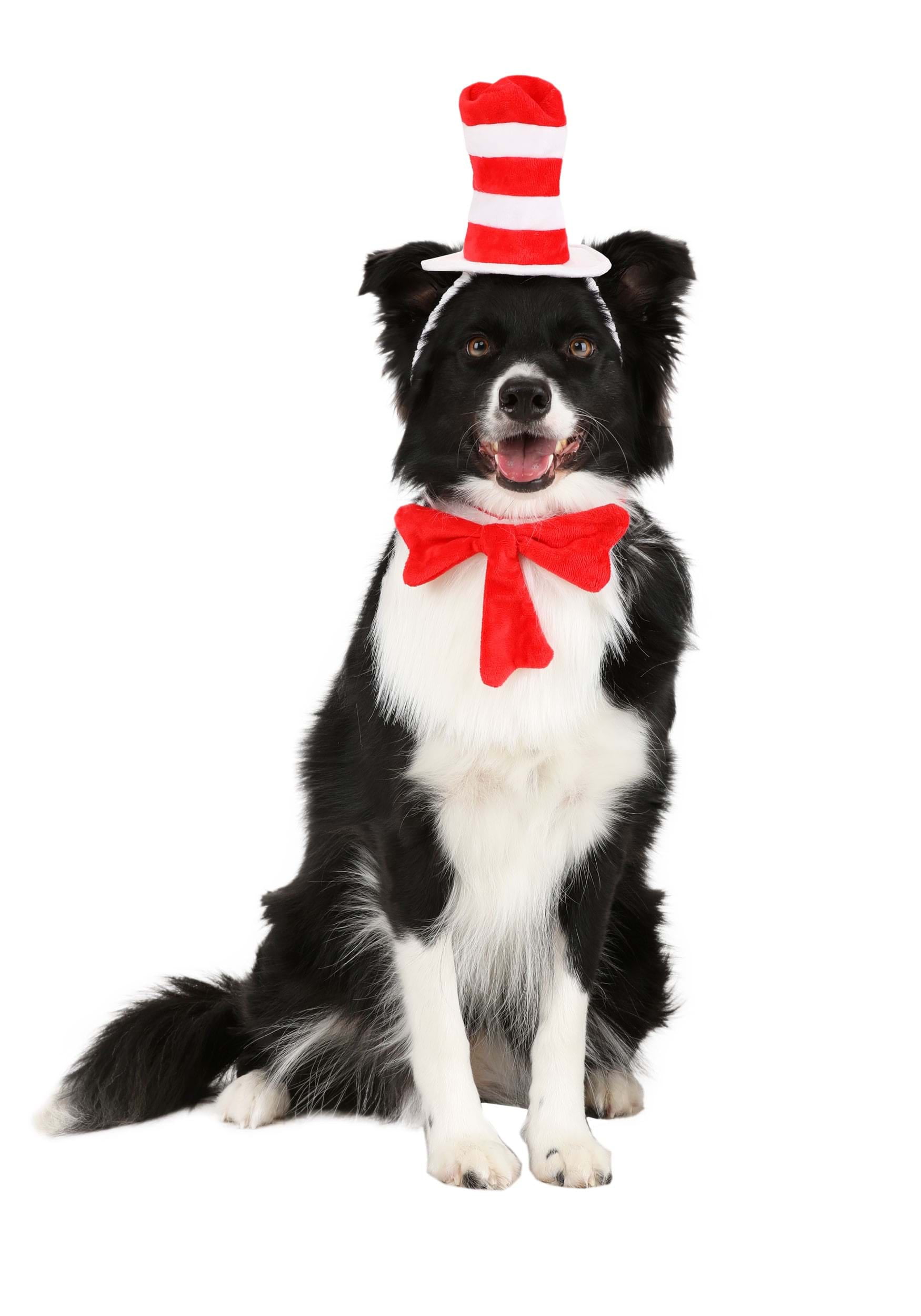 Cat in The Hat Pet Costume - Walmart.com