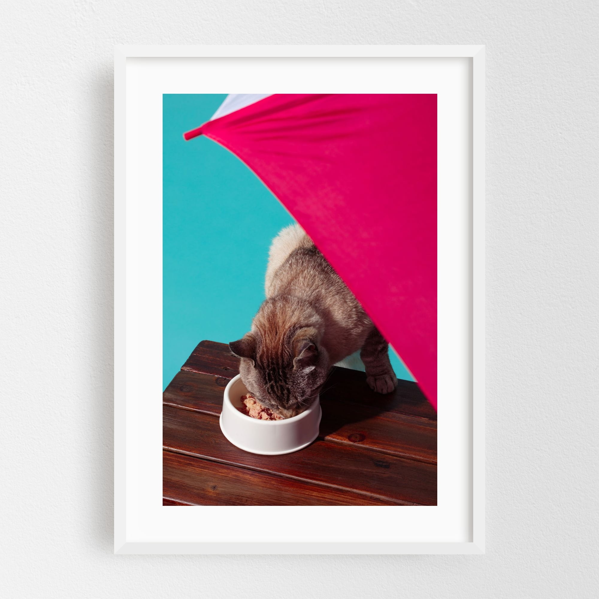 Cat picnic day - Photography Cat Summer Beach House Humor White Framed ...