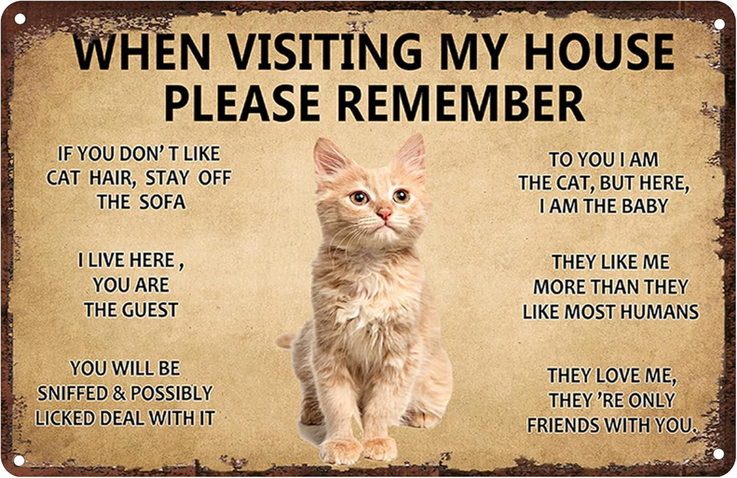 Cat's Metal Signs Artwork - When Visiting My House Please Remember ...