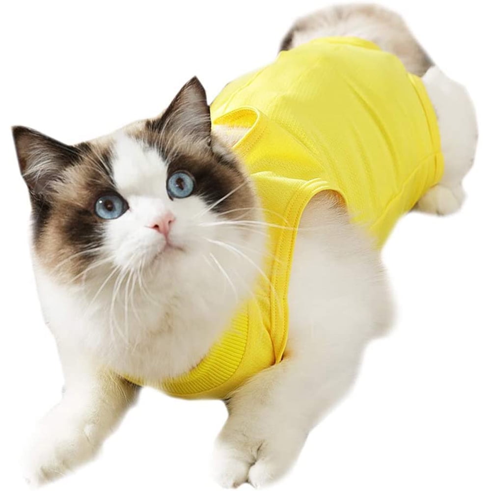 Cat suit Anti-licking anti-removal surgery quadruped suit Cat star ...