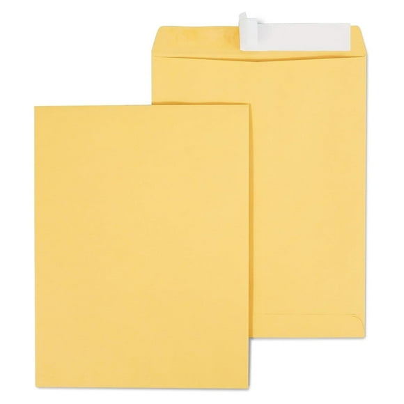 10 X 13 Envelopes in Envelopes by Size - Walmart.com