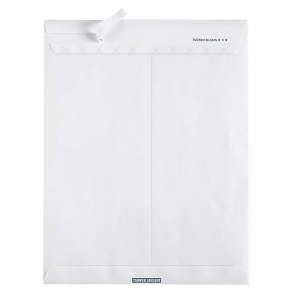 10 X 13 Envelopes in Envelopes by Size - Walmart.com