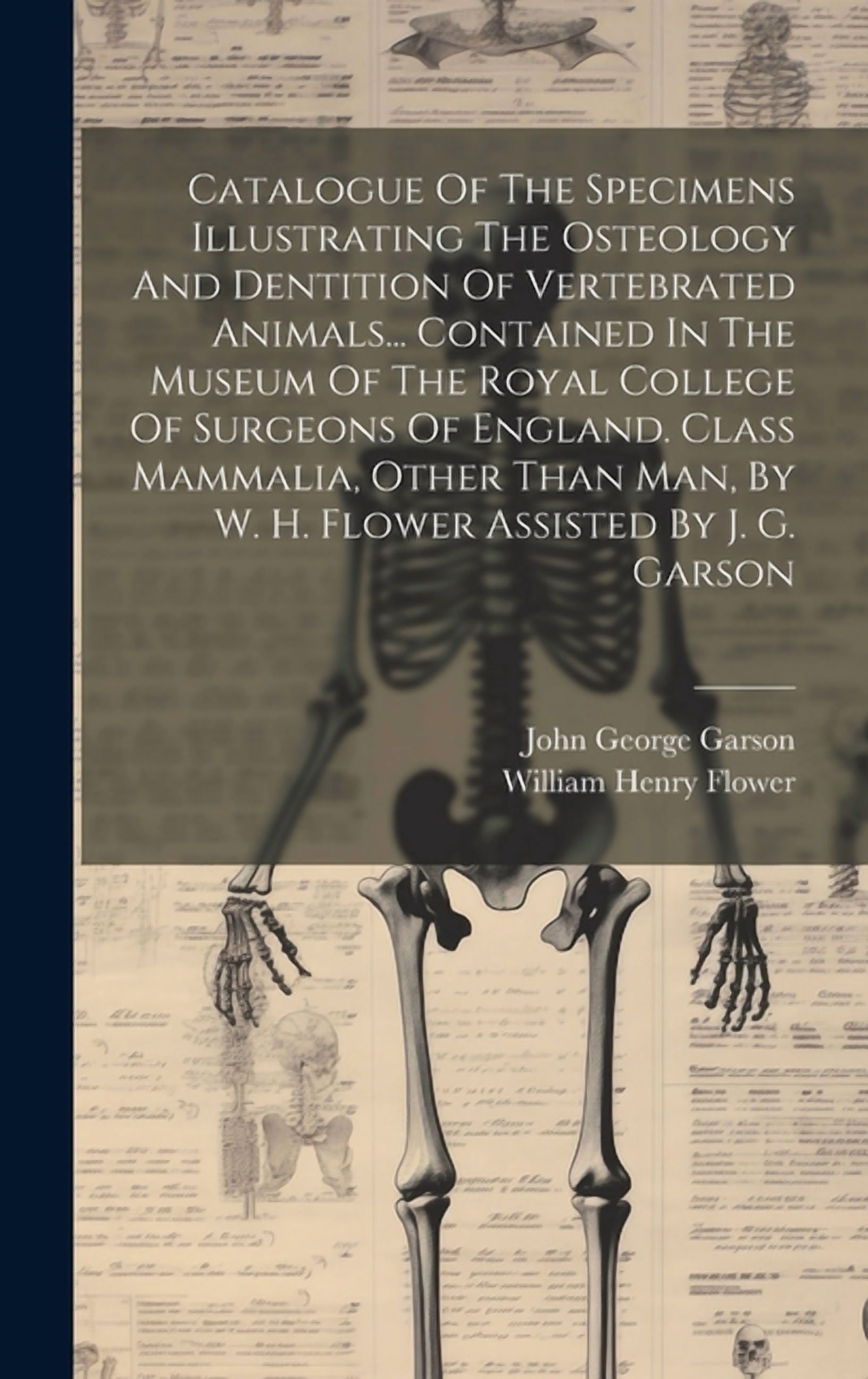 Catalogue Of The Specimens Illustrating The Osteology And Dentition Of ...