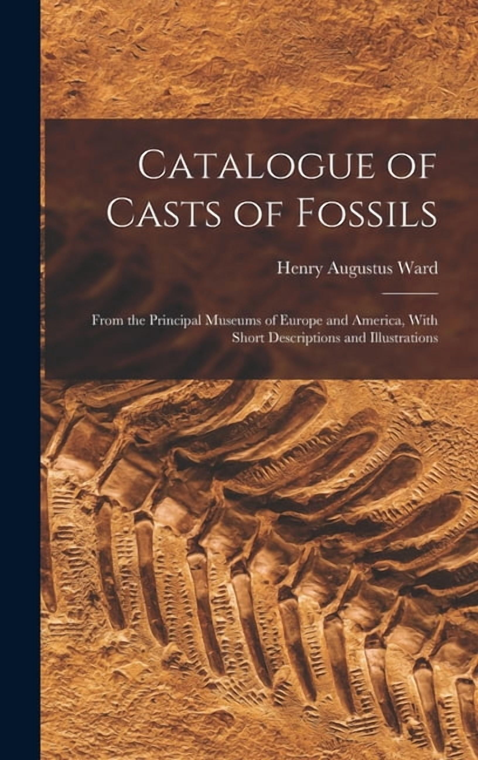 Catalogue of Casts of Fossils: From the Principal Museums of Europe and ...