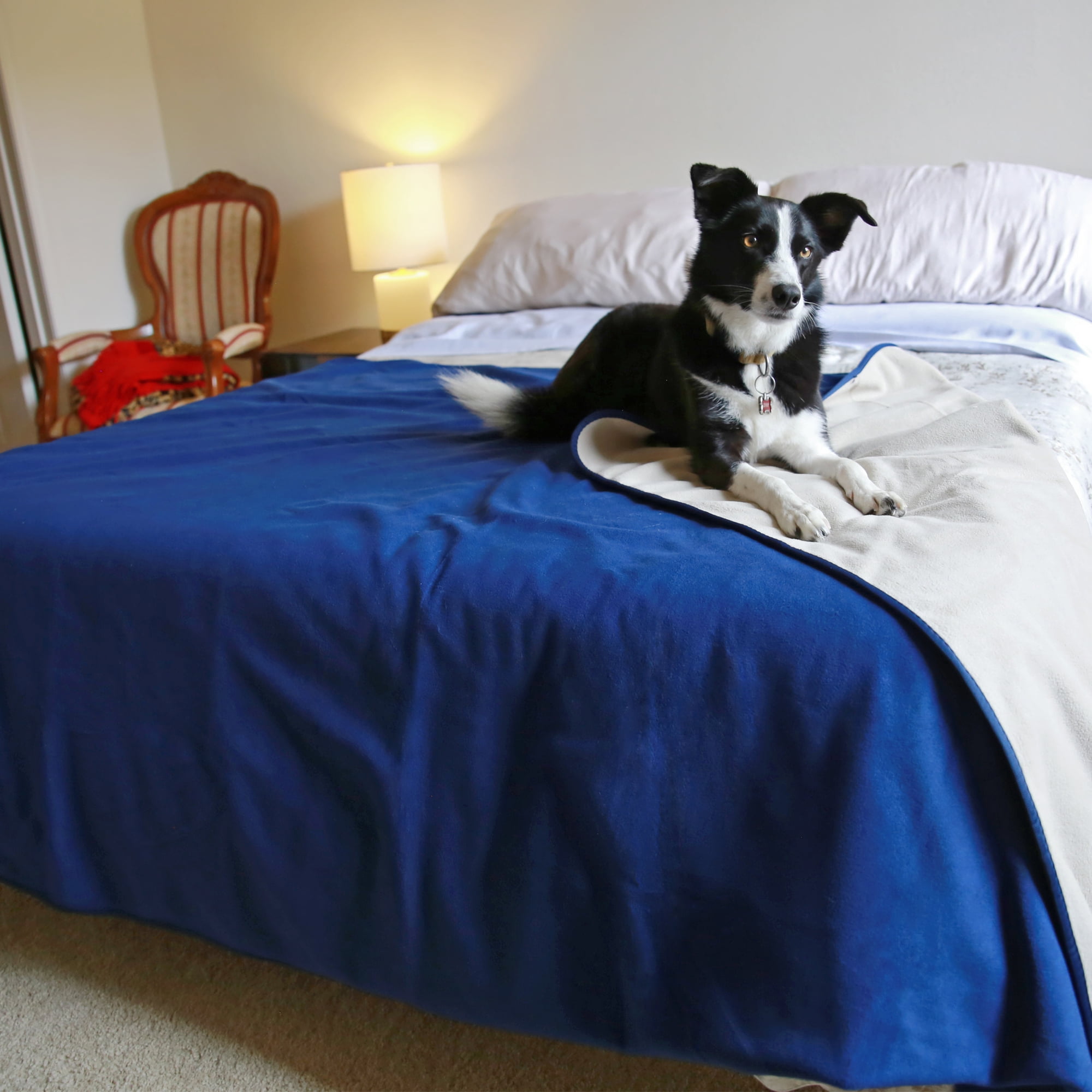 "Catalonia Waterproof Sherpa Throw, Reversible Dog Blanket, 60""x80 ...
