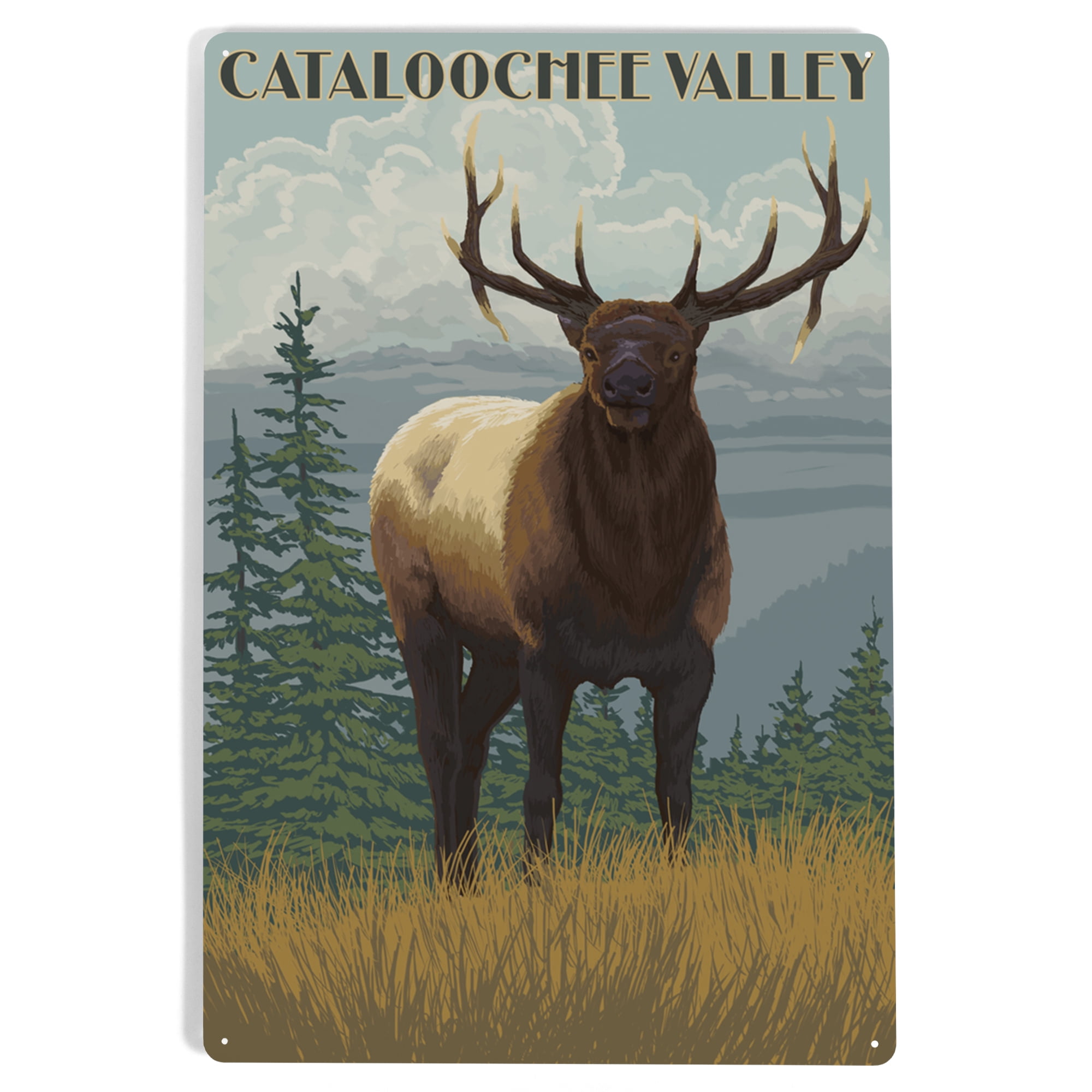 Cataloochee Valley, North Carolina, Elk Scene (12x18 Aluminum Art ...