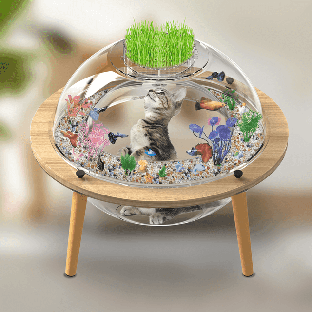 Catboxy 2-in-1 Cat House & Fish Tank with Viewing Window - Solid Wood ...