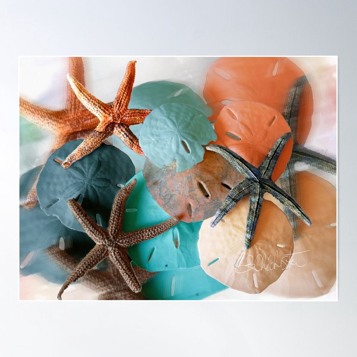 Catch A Fleeting Star-Bchichester Poster Wall Art, Modern Wall Decor ...