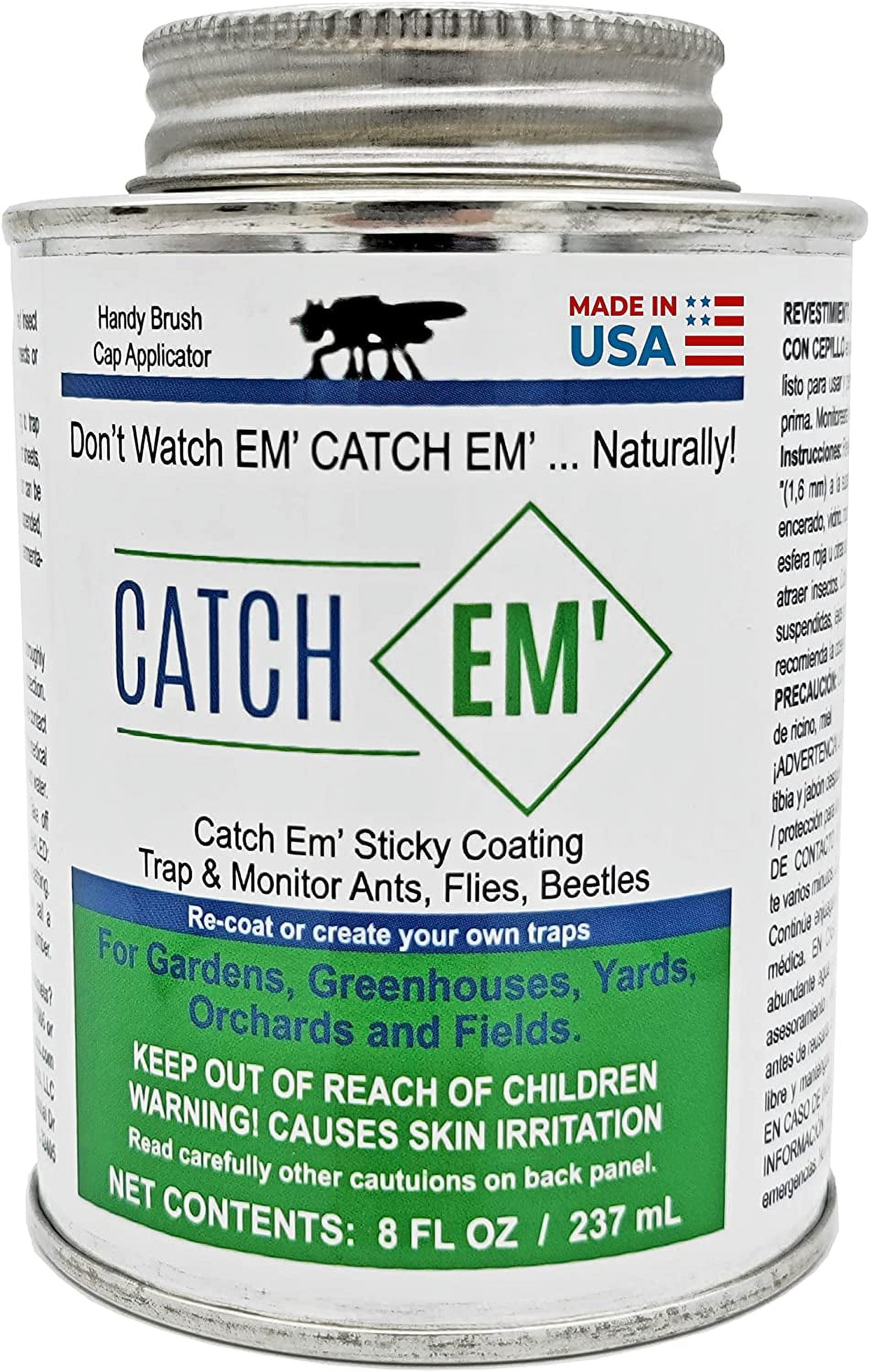 Catch EM' Sticky Coating 8oz Brush on Insect Trap Coating(Brush Cap ...
