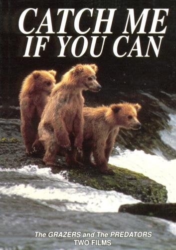 Catch Me if You Can The Grazers and The Predators DVD NEW - Walmart.com