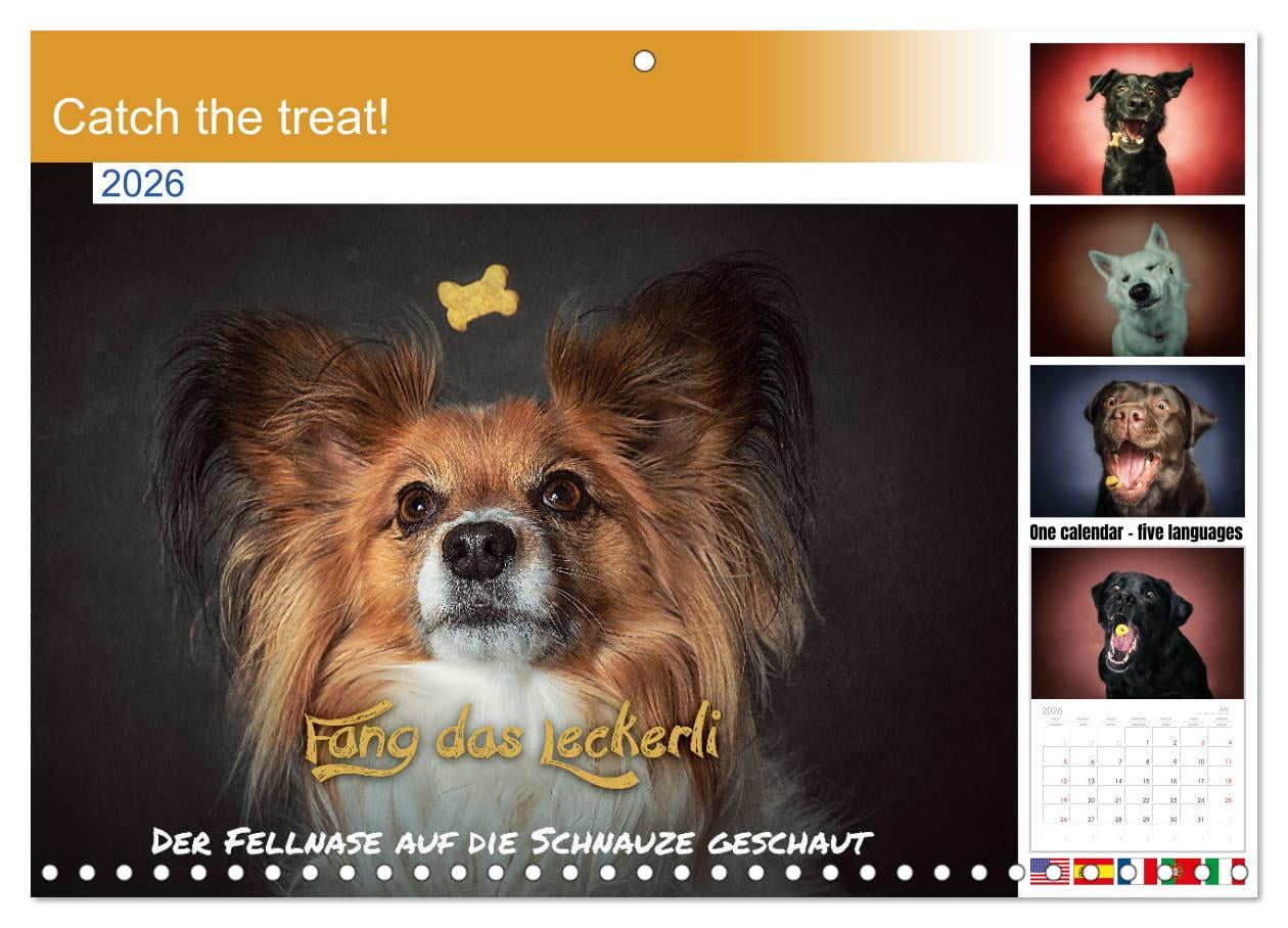 Catch the treat! (Monthly Wall Calendar 2026 16.5 x 23.4 (open ...